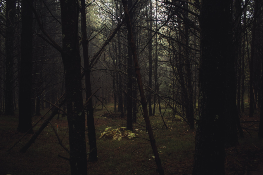 What is PTSD and How is It Treated? | Your Local Psychiatrist